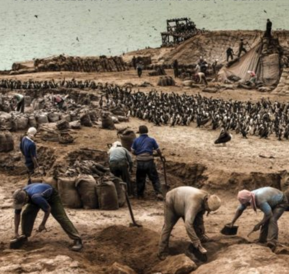 Capitalism and the Ecological Rift – China Environment News