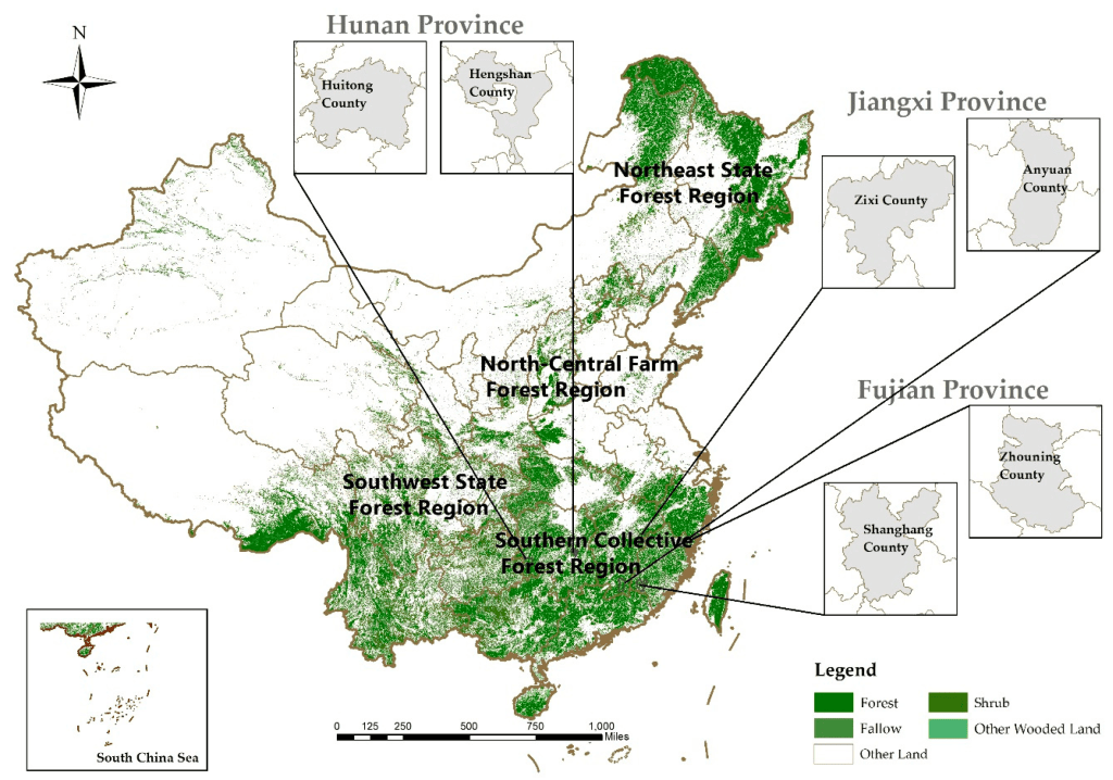 China’s Tree Planting Policy – China Environment News