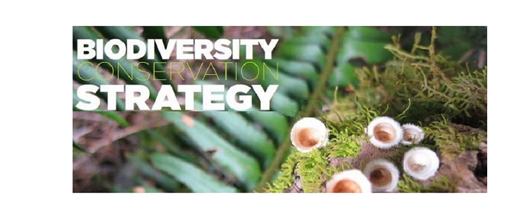 China Updates Biodiversity Strategy – China Environment News