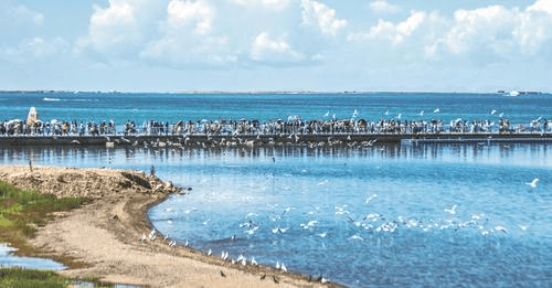 Three Zones Environmental Guidelines – China Environment News