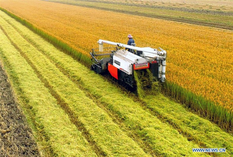 Food security China’s first priority – China Environment News