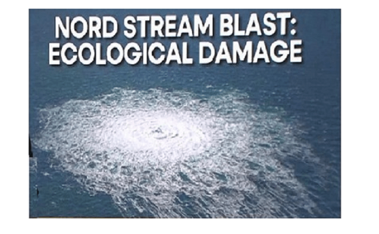 Nord Stream sabotage was major environmental crime – China Environment News