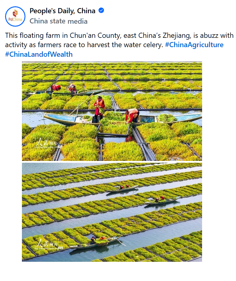 Floating farm in east China’s Zhejiang – China Environment News