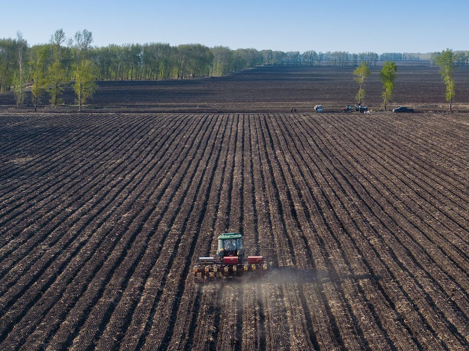 China’s black soil conservation boosts grain supply and cuts future ...